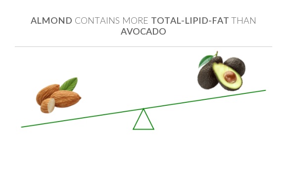 Compare Fats in Almonds to Fats in Avocado