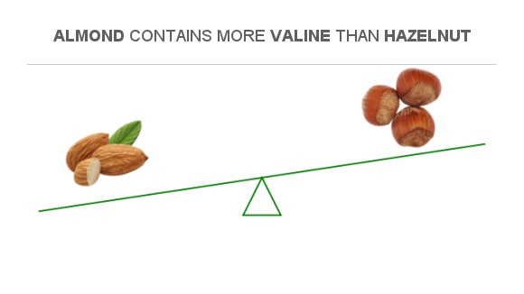 Compare Valine in Almonds to Valine in Hazelnut