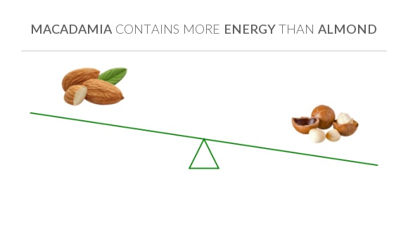 Compare Calories in Almonds to Calories in Macadamia