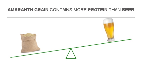 Compare Protein in Amaranth to Protein in Beer