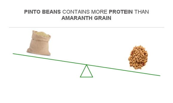 Compare Protein in Amaranth grain to Protein in Pinto beans Compare Protein in Amaranth grain to Protein in Pinto beans