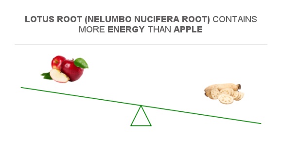 Compare Calories in to Calories in Lotus root