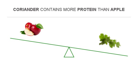 Compare Protein in Apple to Protein in Coriander