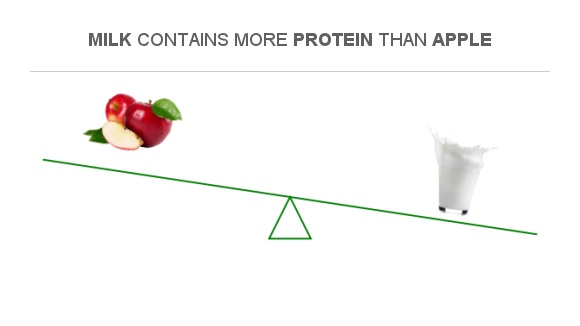 Compare Protein in Apple to Protein in Milk