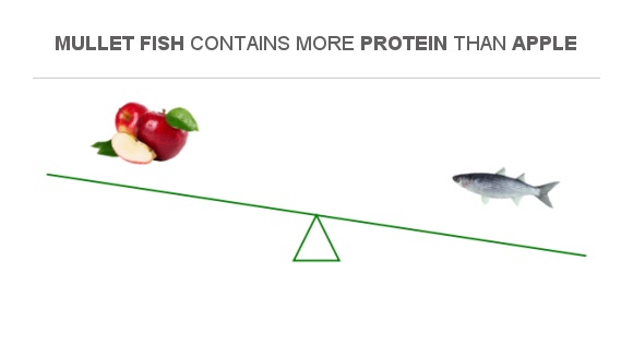 Compare Protein in Apple to Protein in Mullet fish