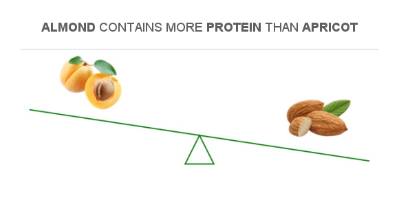 Compare Protein in Apricot to Protein in Almonds