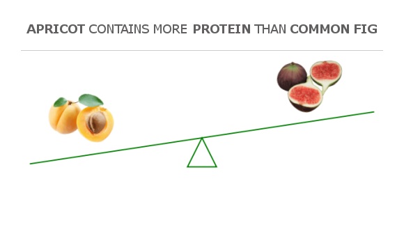 Compare Protein in Apricot to Protein in Figs