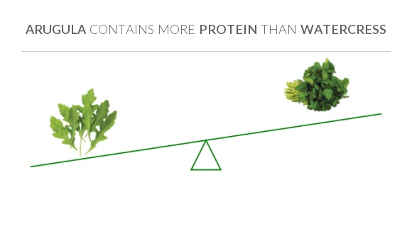 Compare Protein in Arugula to Protein in Watercress