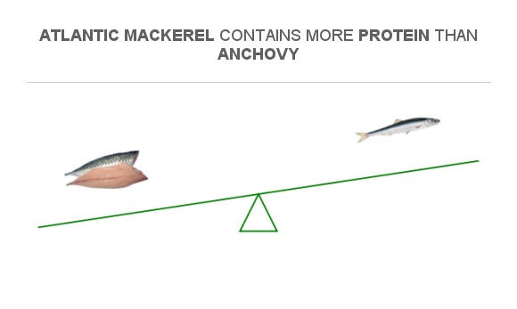 Compare Protein in Atlantic Mackerel to Protein in Anchovy