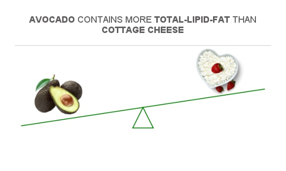 Compare Fats in Avocado to Fats in Cottage cheese