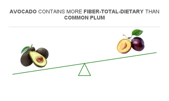 Compare Fiber in Avocado to Fiber in Plum