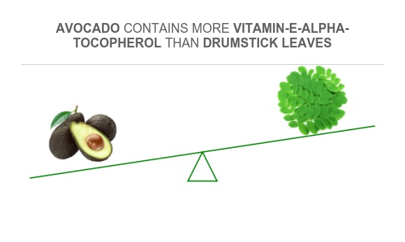 Compare Vitamin E In Avocado To Vitamin E In Drumstick Leaves 7924