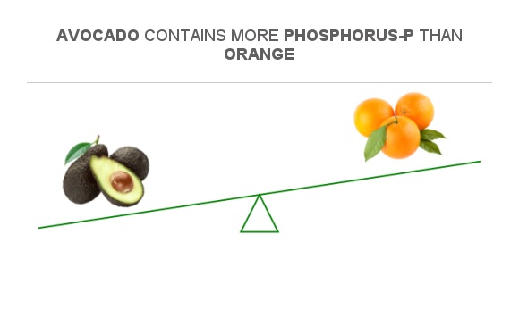 Compare Phosphorus in Avocado to Phosphorus in Orange