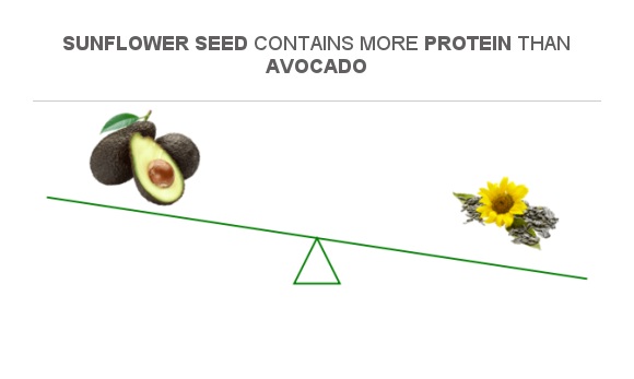 Compare Protein in Avocado to Protein in Sunflower seeds