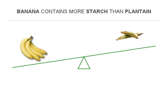 Compare Starch in Banana to Starch in Plantain