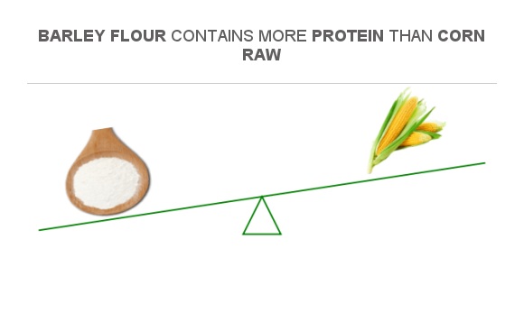 Compare Protein in Barley flour to Protein in Corn raw