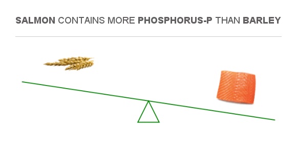 Compare Phosphorus in Barley to Phosphorus in Salmon