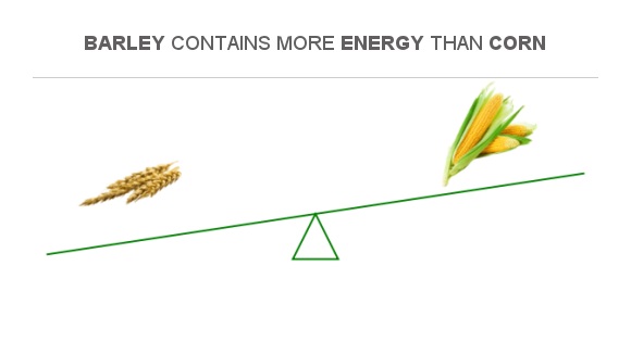 Compare Calories in Barley to Calories in Corn