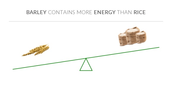 Compare Calories in Barley to Calories in Rice