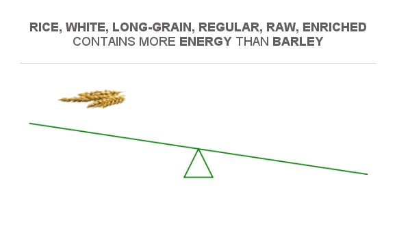 Compare Calories in Barley to Calories in Rice, white, long-grain ...
