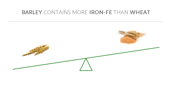 Compare Iron in Barley to Iron in Wheat