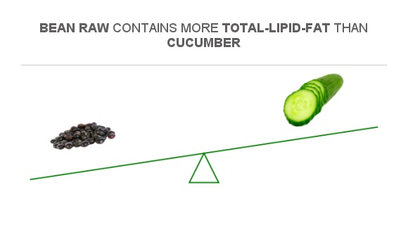Compare Fats in Bean raw to Fats in Cucumber