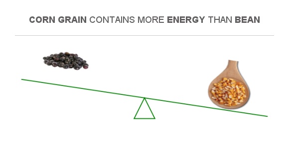 Compare Calories in Bean to Calories in Corn grain Compare Calories in Bean to Calories in Corn grain