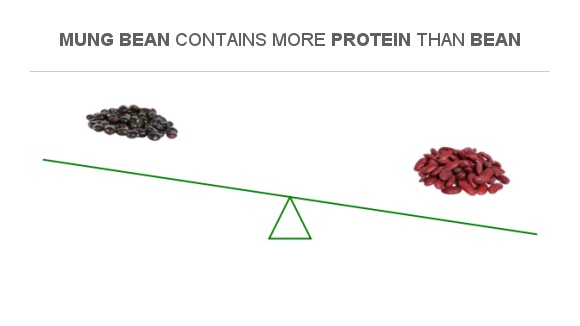 Compare Protein in Bean to Protein in Mung bean