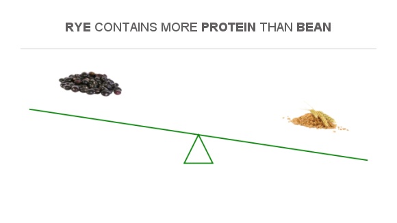 Compare Protein in Beans to Protein in Rye