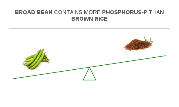 Compare Phosphorus in Broad beans to Phosphorus in Brown rice