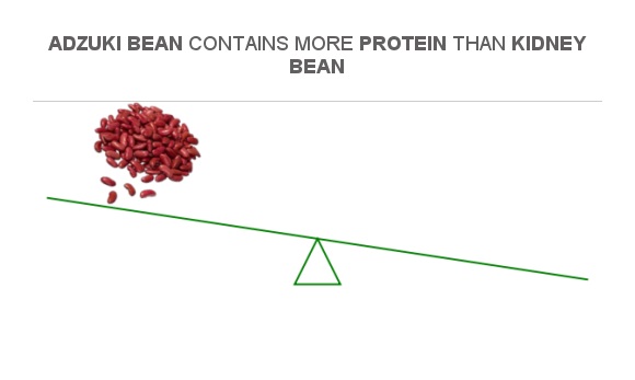 Compare Protein in Kidney beans to Protein in Adzuki bean