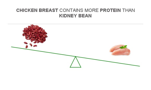 Compare Protein in Kidney beans to Protein in Chicken breast