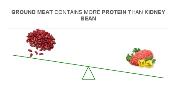 Compare Protein in Kidney beans to Protein in Ground beef