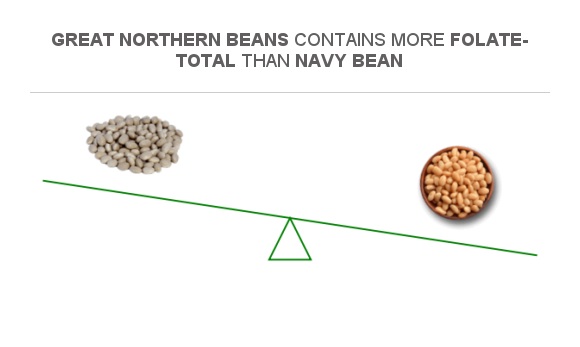Compare Folate in Navy beans to Folate in Great northern beans