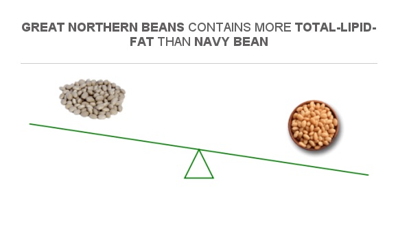 Compare Fats in Navy beans to Fats in Great northern beans