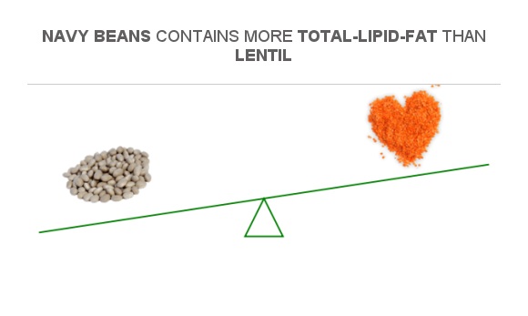 Compare Fats in Navy beans to Fats in Lentil