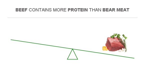Compare Protein in Bear meat to Protein in Beef
