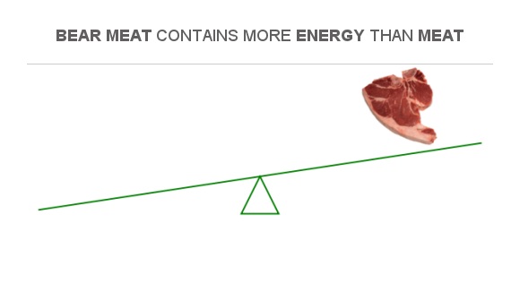 Compare Calories in Bear meat to Calories in Pork Meat