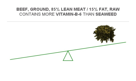 Compare Vitamin B6 in Beef, ground, 85% lean meat / 15% fat, raw to ...