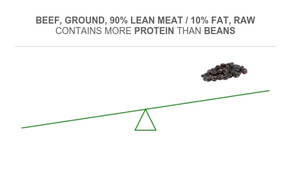 Compare Protein in Beef, ground, 90% lean meat / 10% fat, raw to ...