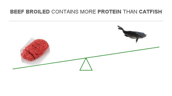 Compare Protein in Beef broiled to Protein in Catfish