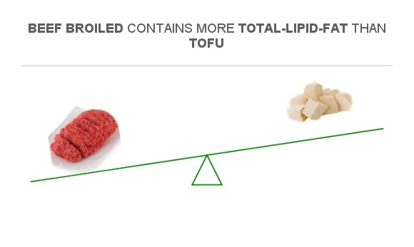 Compare Fats in Beef broiled to Fats in Tofu