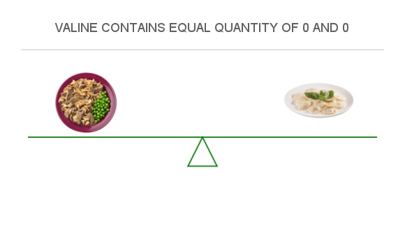 Compare Valine in Beef Stroganoff to Valine in Ravioli