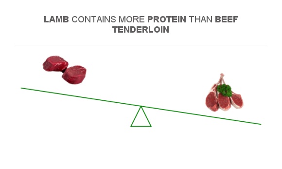 Compare Protein in Beef tenderloin to Protein in Lamb