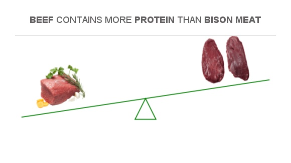 Compare Protein in Beef to Protein in Bison meat