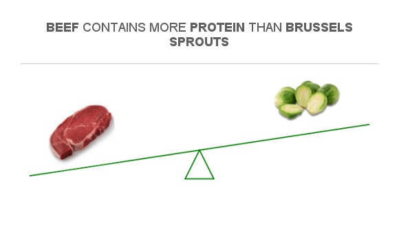 Compare Protein in Beef to Protein in Brussels sprouts
