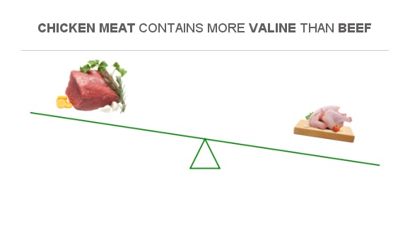 Compare Valine in Beef to Valine in Chicken meat