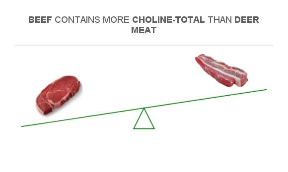 Compare Choline in Beef to Choline in Deer meat