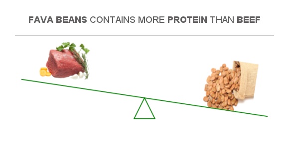 Compare Protein in Beef to Protein in Fava beans