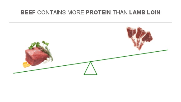 Compare Protein in Beef to Protein in Lamb loin